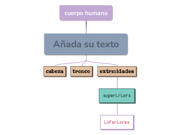 cuerpo humano - Mind Map